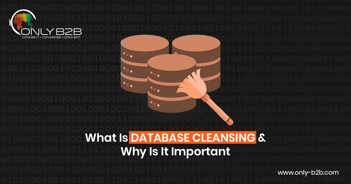 What Is Database Cleansing and Why Is It Important? - Only-B2B
