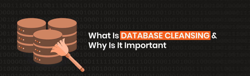 What Is Database Cleansing and Why Is It Important? - Only-B2B